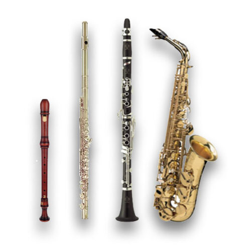 Regionale Musikschule Sissach | Holzblasinstrumente